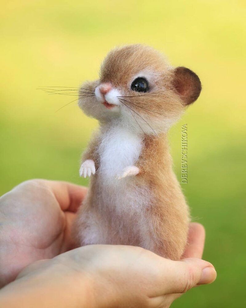 Милые войлочные зверюшки. Часть 1